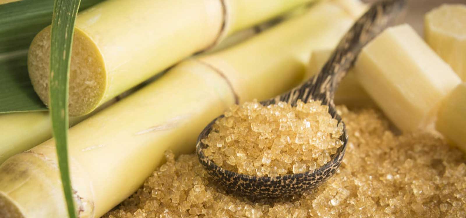 Produire du Sucre à partir de la Canne à Sucre | Ile Maurice